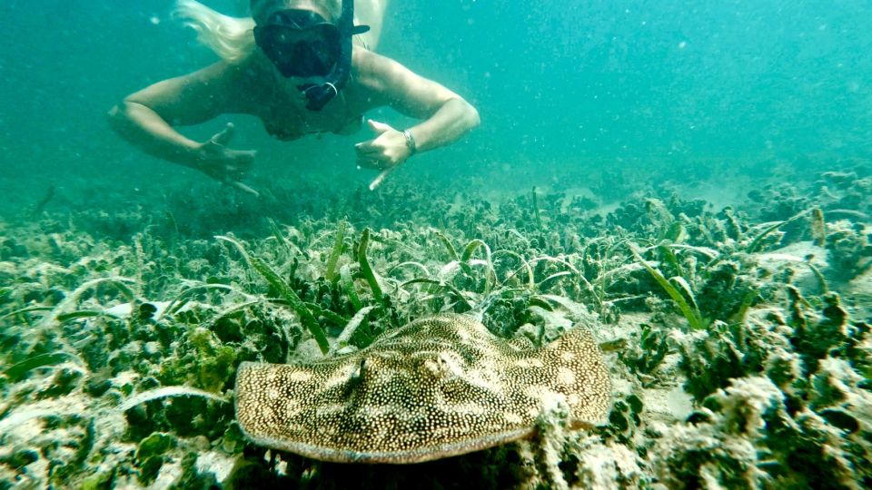 West Palm Beach: Beginner Scuba Diving Adventure with Videos - Final Thoughts