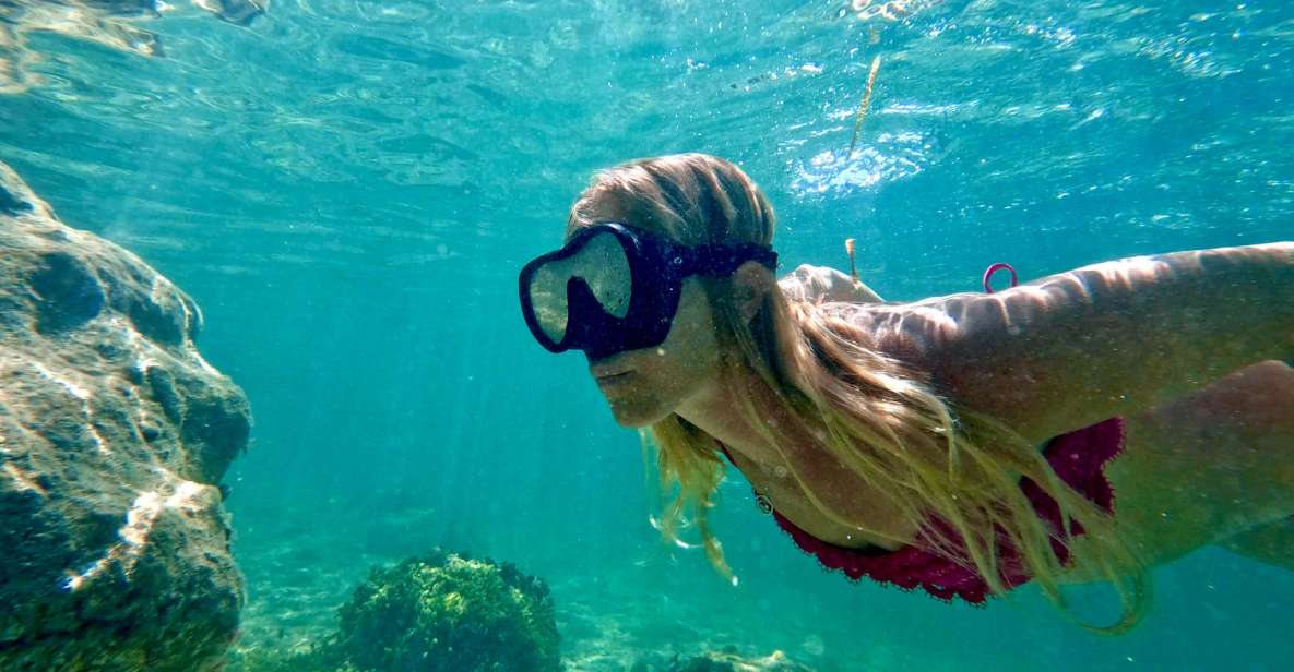 West Palm Beach: Beginner Snorkel Tour with Turtles & Videos - The Itinerary Breakdown: What to Expect from Start to Finish