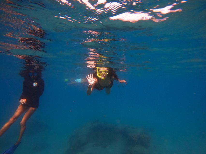 West Palm Beach: Blue Heron Bridge Guided Snorkeling Tour - Key Points