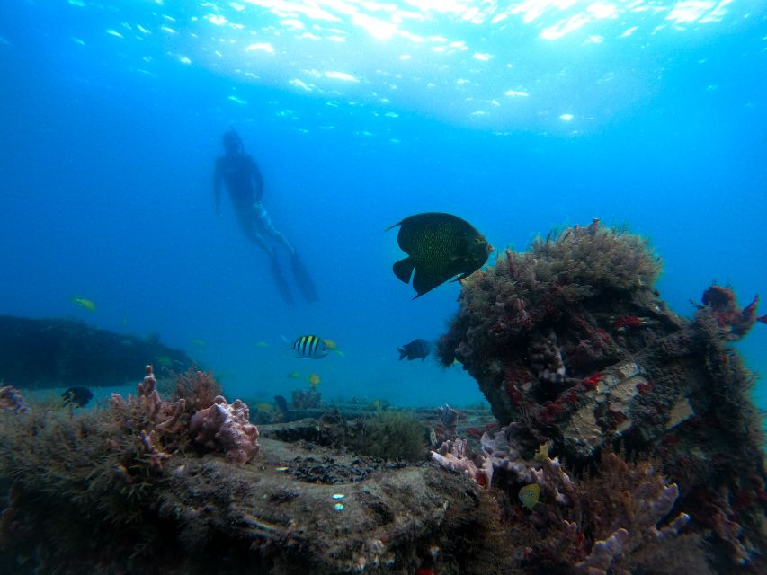West Palm Beach: Blue Heron Bridge Guided Snorkeling Tour - Why This Snorkeling Tour Stands Out