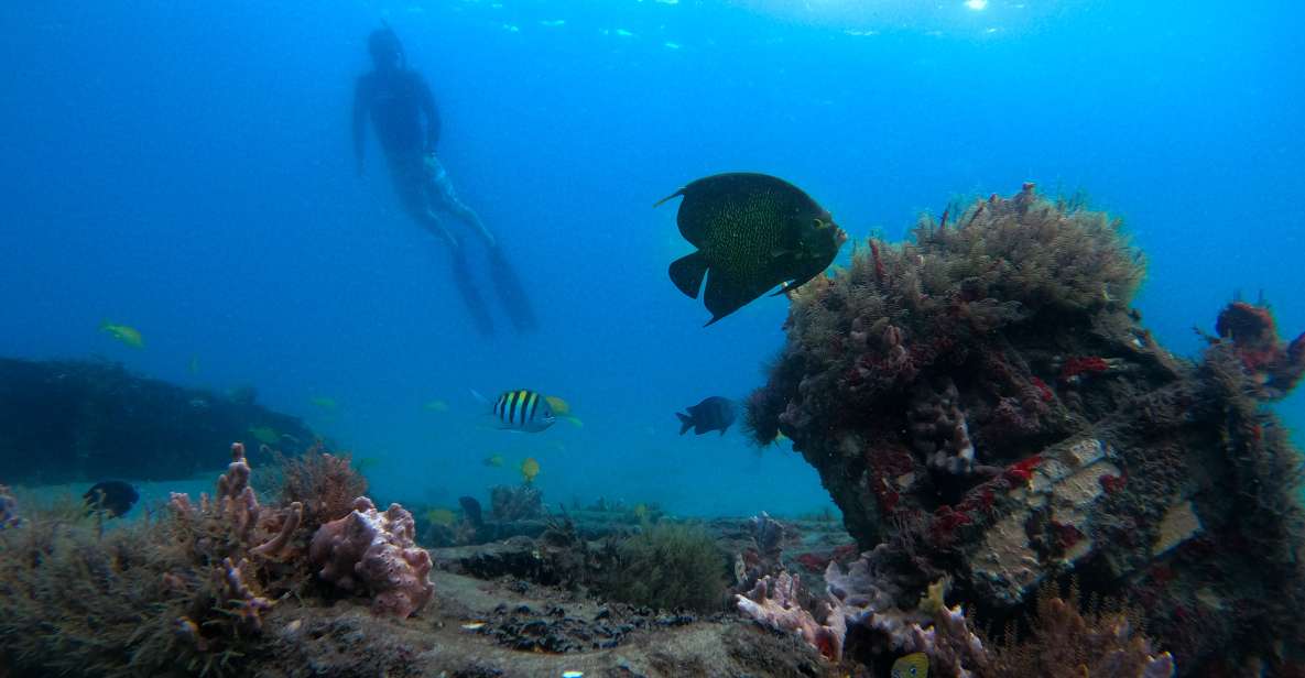 West Palm Beach: Blue Heron Bridge Guided Snorkeling Tour - The Value of This Experience