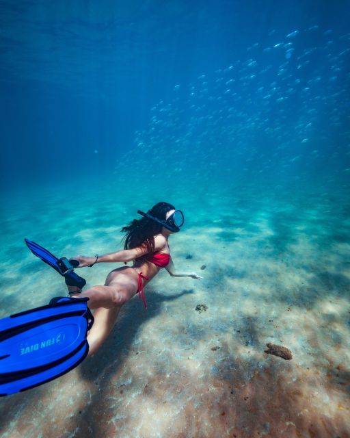 West Palm Beach Florida: All Inclusive Beach Day Package - The Experience Breakdown: What You Can Expect