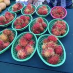 West Palm Beach: Mornings in the Market Food Tour - Food Tastings and Highlights