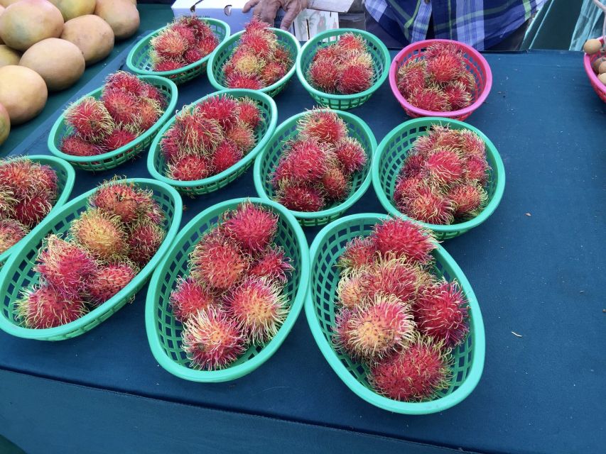 West Palm Beach: Mornings in the Market Food Tour - Food Tastings and Highlights