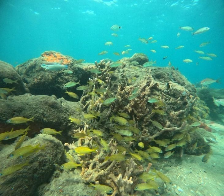 West Palm Beach: Private Peanut Island Boat & Snorkel Tour - What To Expect Practicalities