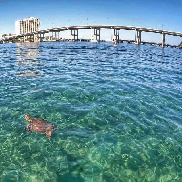 West Palm Beach: Private Peanut Island Boat & Snorkel Tour - Who Might Be Disappointed