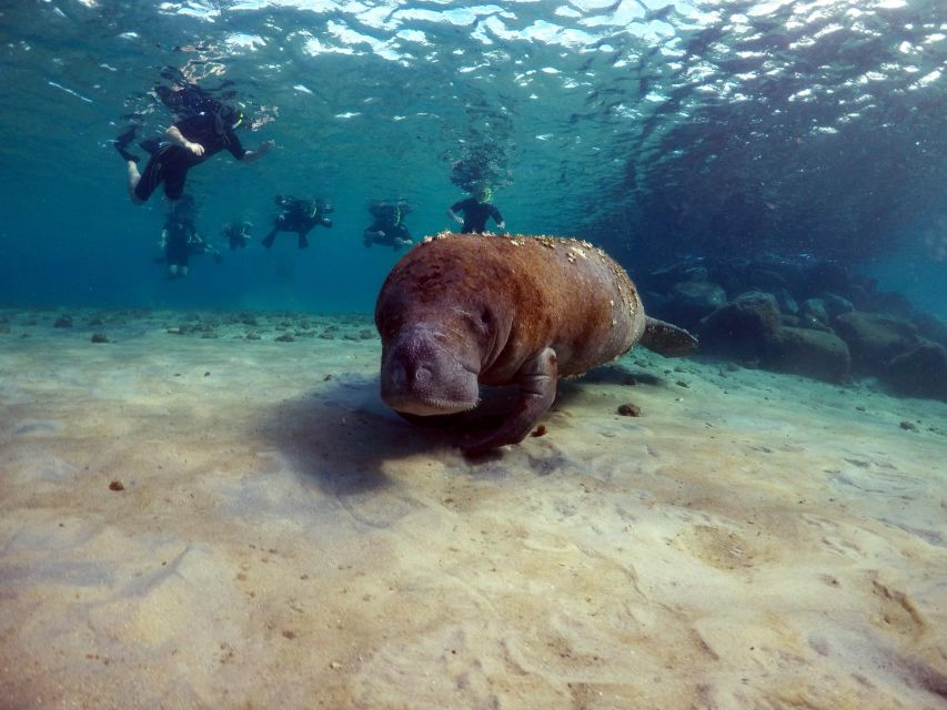 West Palm Beach: Private Peanut Island Boat & Snorkel Tour - Practical Next Steps