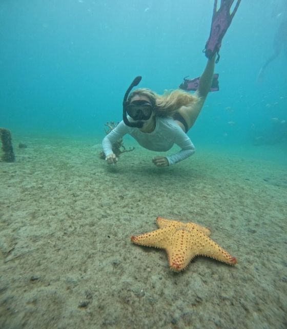 West Palm Beach: Private Peanut Island Boat & Snorkel Tour - FAQ