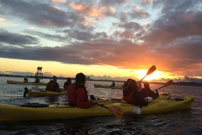 West Seattle Sunset Sea Kayak Tour - Who Should Consider This Tour?
