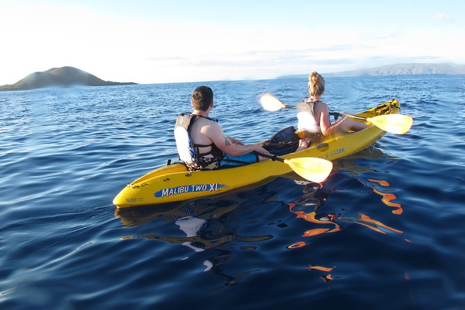 West Side Discovery Kayak & Snorkel Tour - Key Points