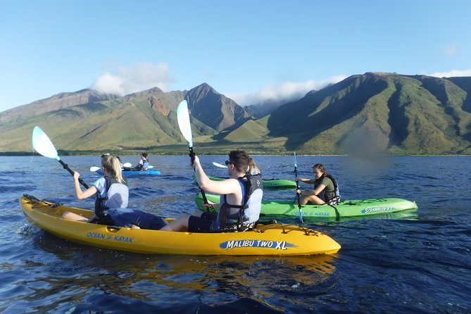 West Side Discovery Kayak & Snorkel Tour - The Experience in Detail