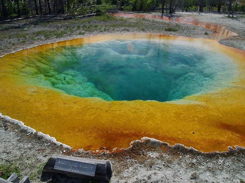 West Yellowstone: Yellowstone Day Tour Including Entry Fee - Why This Tour Offers Great Value