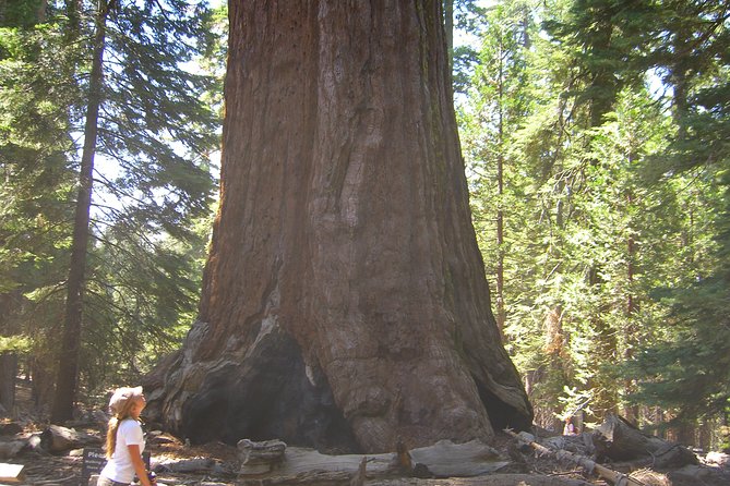 Western National Parks 7 Day Explorer Lodging - Key Points