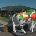 Western New York Beer Trail Pass - What We Like About the Western New York Beer Trail Pass