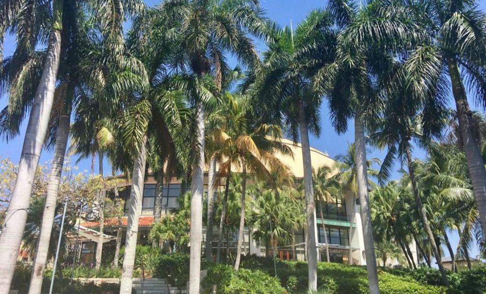 Wet & Dry Fort Lauderdale - Practical Tips for Participants