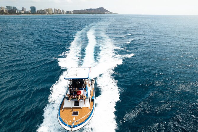 Whale and Dolphin Watch Boat Cruise in Oahu - Final Words