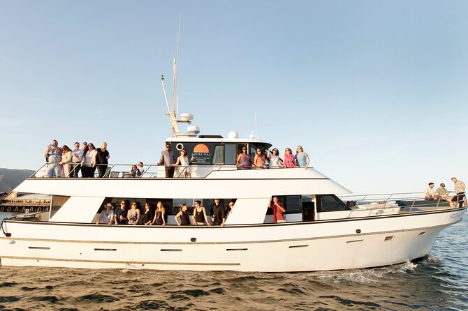 Whale and Wildlife Yacht Cruise in Santa Barbara - The Experience: What to Expect on the Whale and Wildlife Yacht Cruise