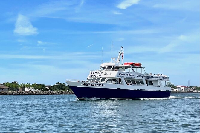 Whale Dolphin and Bird Watching Ecotour Cruise - Who Should Book This Tour?