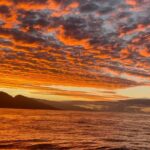 Whale Watch and Scenic Tour from Kayak - Practical Details and Value