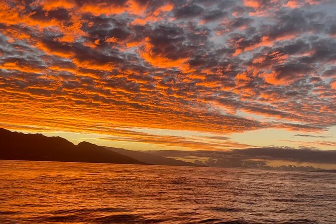 Whale Watch and Scenic Tour from Kayak - Practical Details and Value