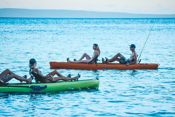 Whale Watch and Scenic Tour from Kayak - FAQs