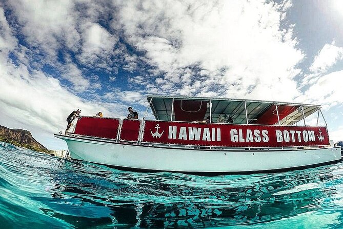 Whale Watch, Dolphins, Turtles and Sightseeing Cruise - The Comfort and Practicalities of the Cruise