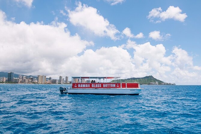 Whale Watch, Dolphins, Turtles and Sightseeing Cruise - Frequently Asked Questions