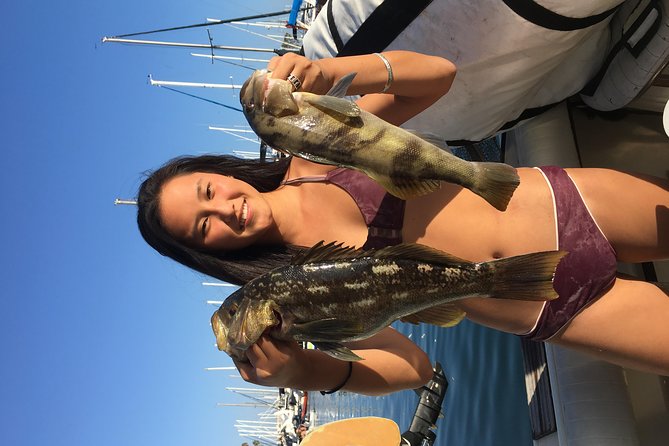 Whale Watching and Fishing Combination Excursions - The Pricing and Value