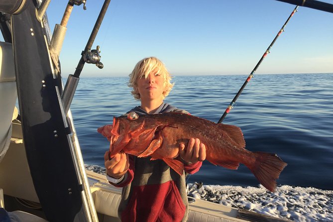 Whale Watching and Fishing Combination Excursions - The Sum Up