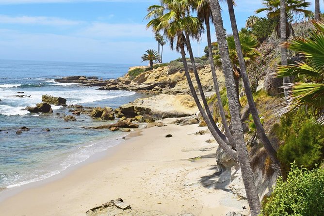 Whale-Watching and Orange County Beaches Tour from Anaheim - Exploring the Itinerary in Detail