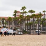 Whale-Watching and Orange County Beaches Tour from Anaheim - What’s Included and What’s Not