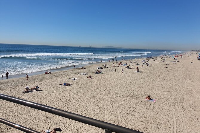 Whale-Watching and Orange County Beaches Tour from Anaheim - Who Will Love This Tour?