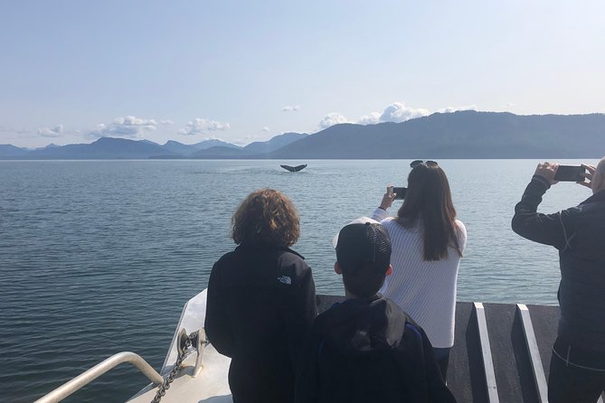 Whale Watching Charters and Bear search through Icy Strat Alaska - The Allure of Alaska’s Untamed Wilderness