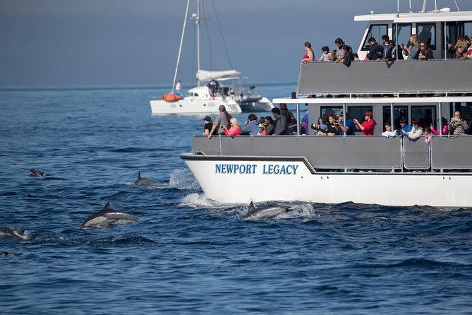 Whale-Watching Cruise from Newport Beach - Upgrades and Additional Options