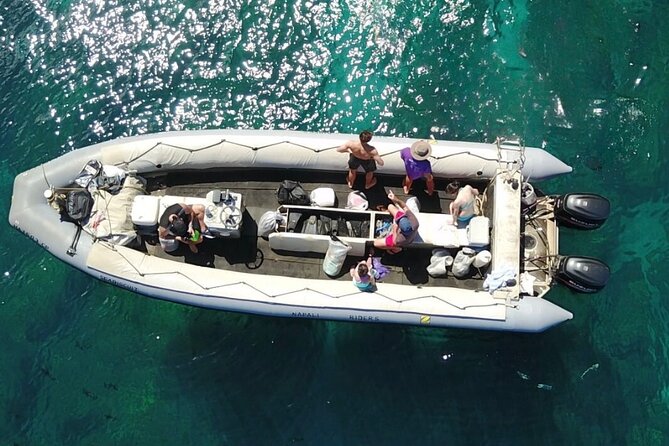 Whale Watching Expedition on Kauai - The Itinerary Breakdown