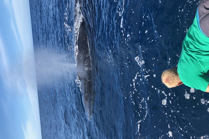 Whale Watching Experience - Why This Tour Offers Great Value