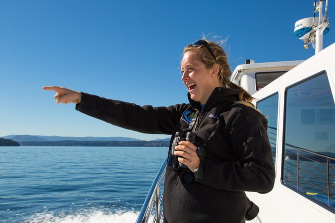 Whale Watching from Friday Harbor - Introduction to Whale Watching from San Juan Island