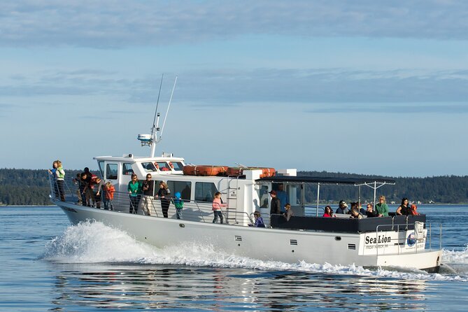 Whale Watching from Friday Harbor - Practical Details and What to Expect