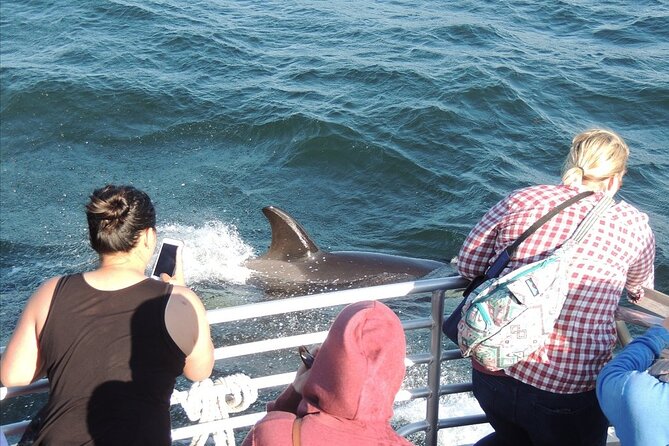 Whale Watching Tour from Anacortes - Final Thoughts