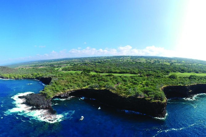Whale Watching Tour: Whales Guaranteed in Kona Waikoloa - Final Thoughts