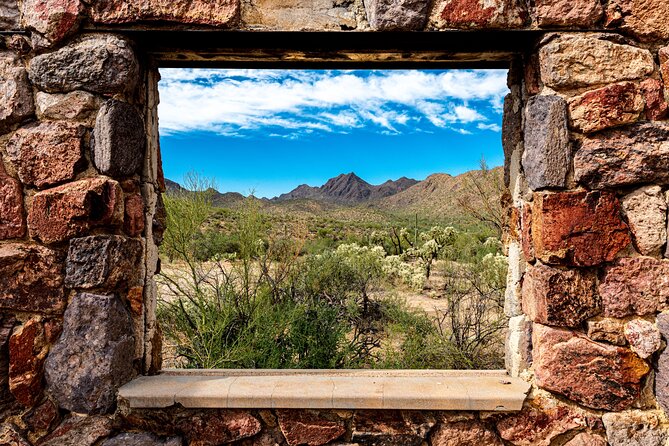 When Nature Calls - Exploring the Sonoran Desert - An In-Depth Look at the Tour Experience