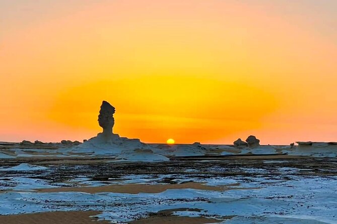 White & Black desert camping tour 2 Days 1 night From Cairo - The Practical Details: Transportation, Food, and Group Size