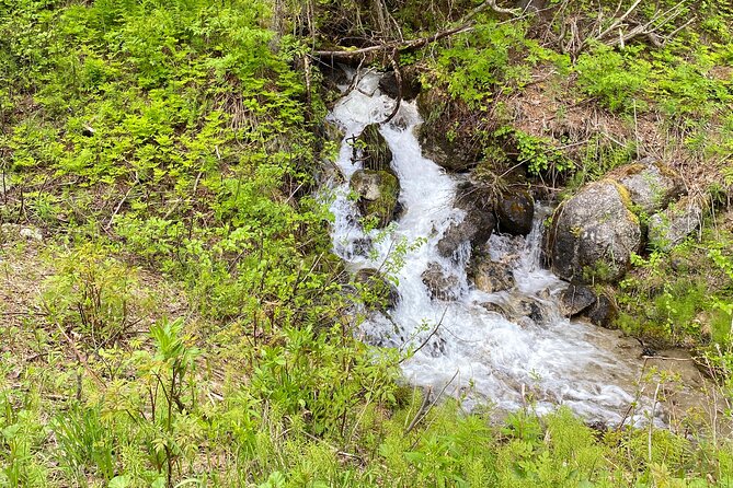 White Pass Deluxe Tour from Skagway - Practical Tips for Travelers
