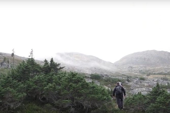 White Pass Mountaineering Adventure - What We Love About This Tour