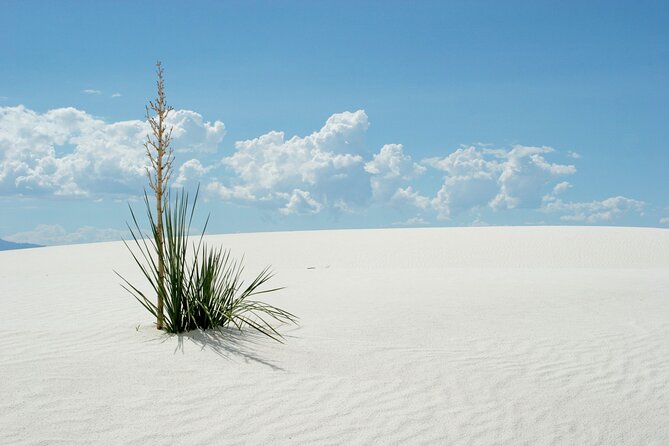 White Sands National Park Self-Guided Audio Tour - FAQ