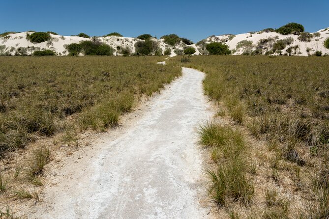 White Sands National Park Self-Guided Driving & Walking Tour - The Sum Up: Is This Tour Right for You?