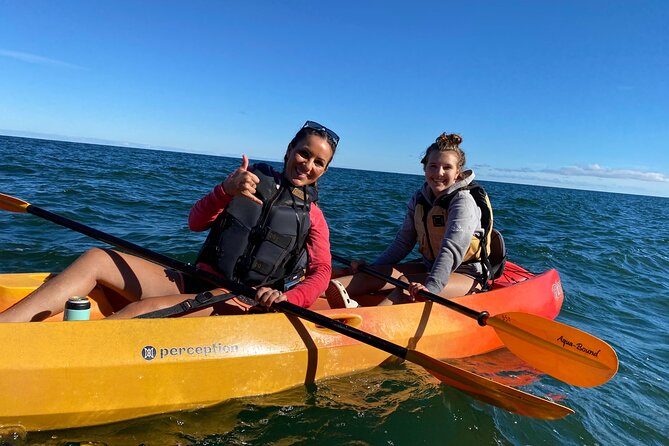 Whitefish Dunes State Park & Cave Point Kayak Tour - Key Points