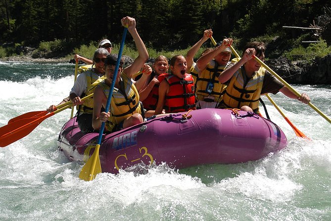 Whitewater Rafting Small Boat Adventure Snake River Jackson Hole - Who Will Love This Tour?