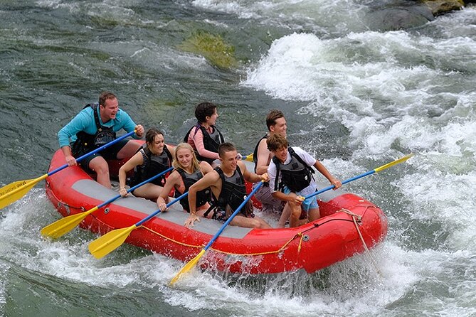 Whitewater Rafting the Salmon River - Full Day - Overview of the Experience