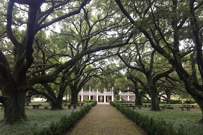Whitney Plantation and Airboat Tour from New Orleans - Introduction